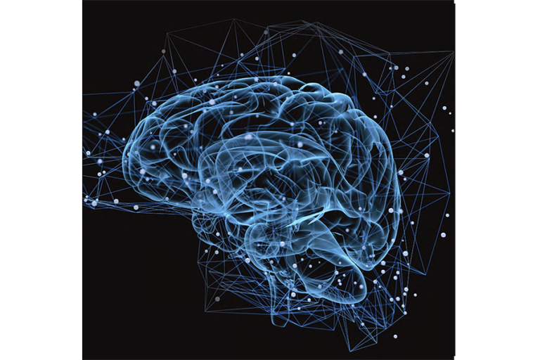 Back to the sources of neural diversity - BioAlps